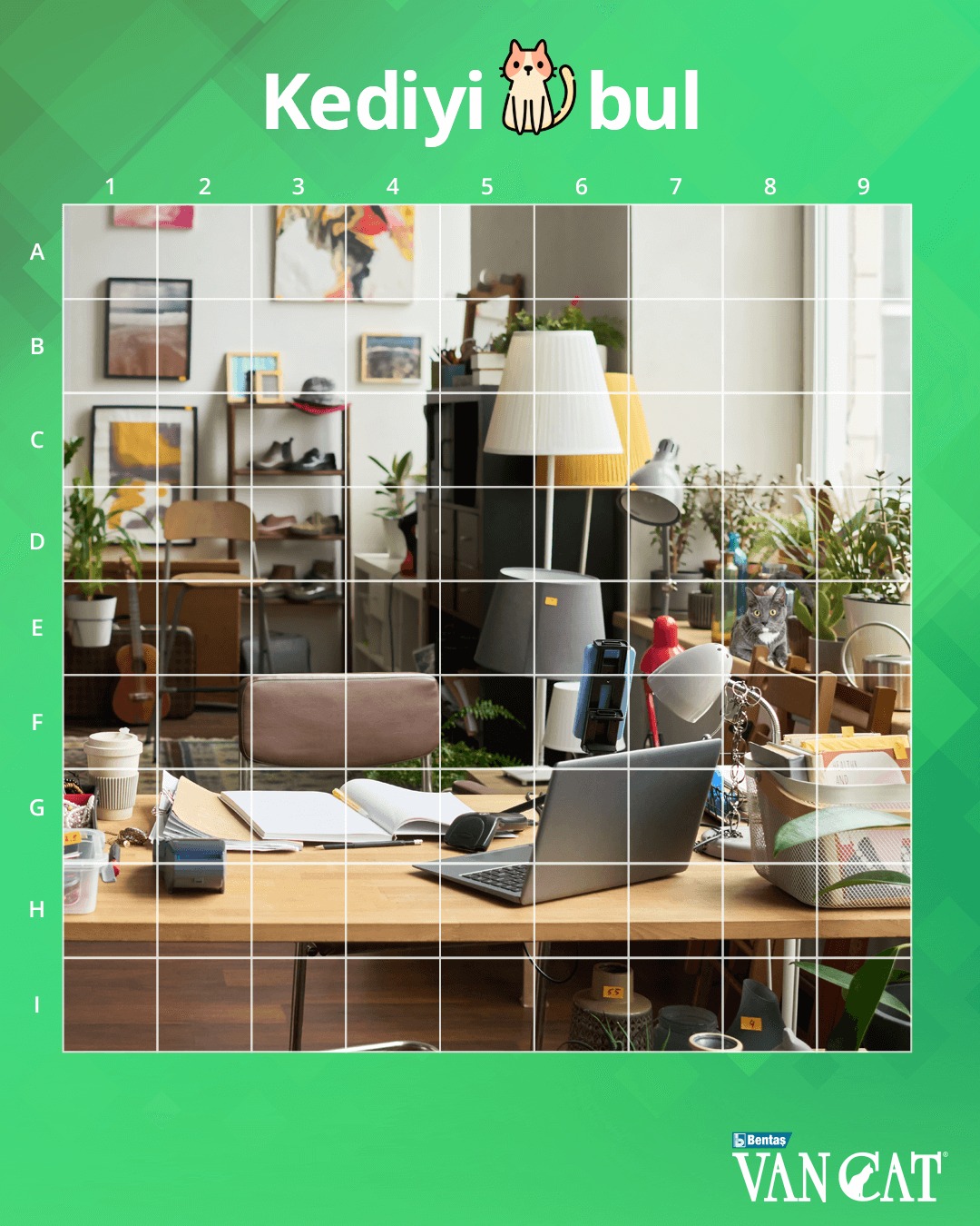 Kedi Kumları – VanCat Market